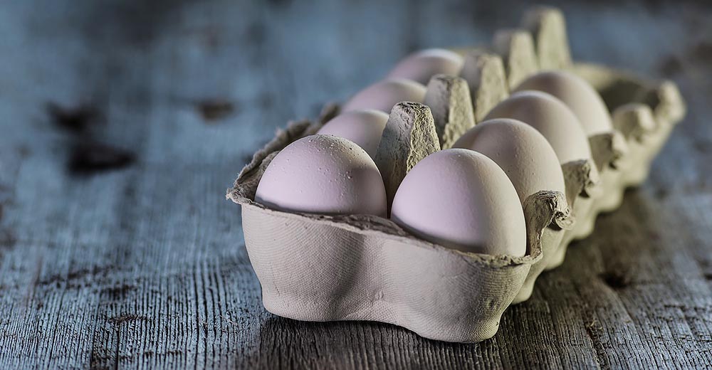 Fall Equinox- Egg Balancing Fact or Myth - Alton MO