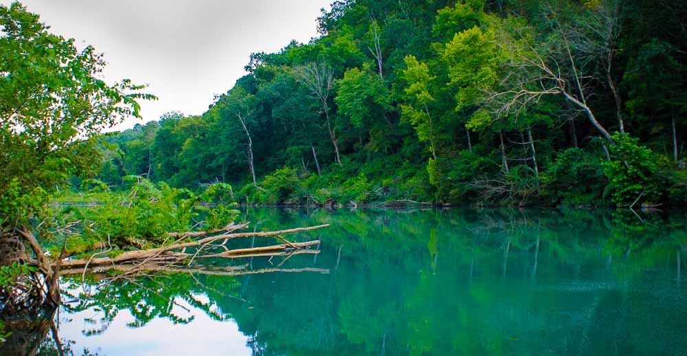 Results For The Eleven Point State Park Survey - AltonMo.com