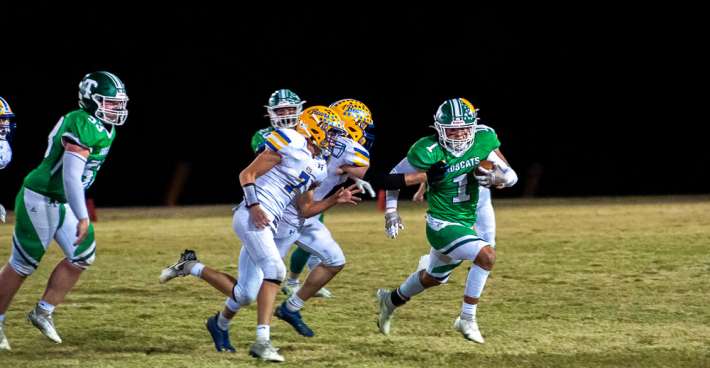 Thayer Bobcats Fall To Ava Bears 43-8 In Sixth Week Of Football ...