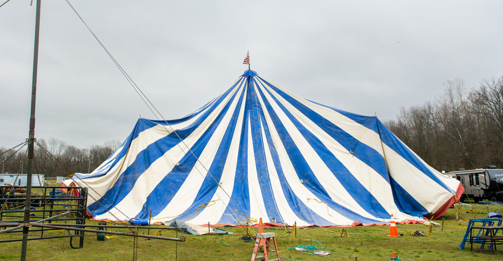 A Small Group Watched The Tent Raising Of The Circus On The 3rd - Alton MO
