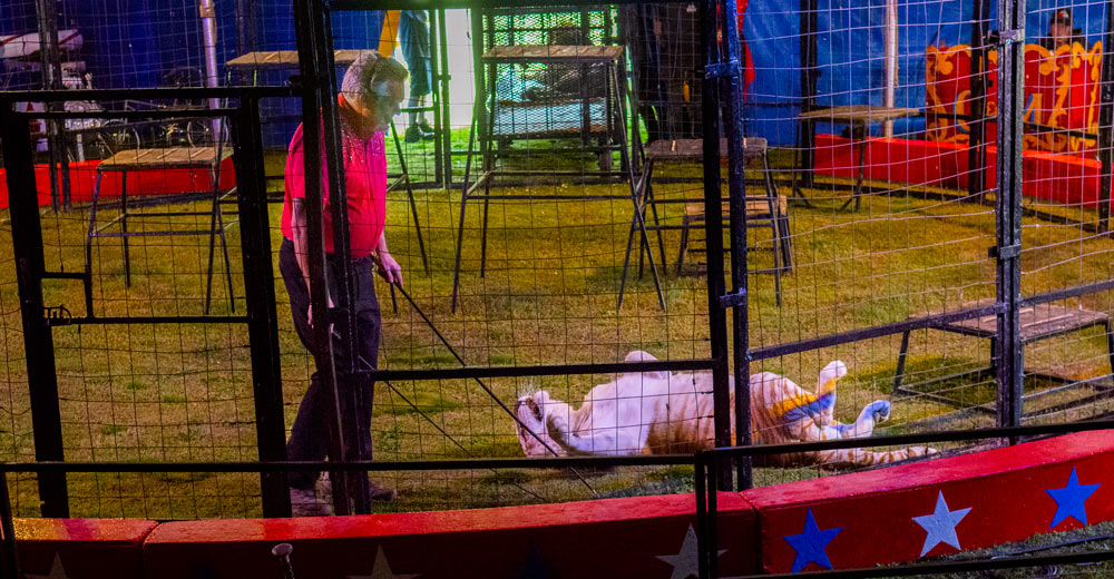 Culpepper & Merriweather Circus Fills Tent Up With Spectators At Shows ...