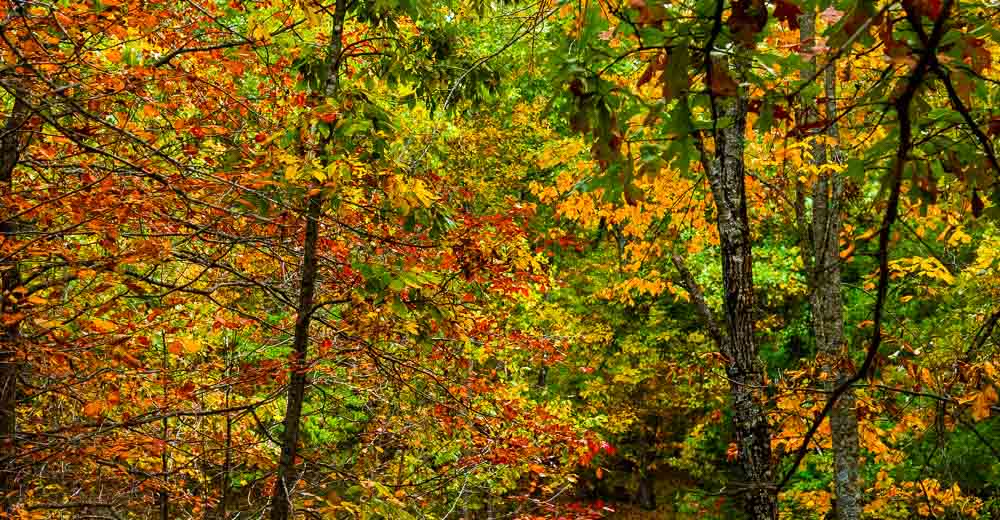 Eleven Point State Park Development Plan- They Want Your Opinion ...