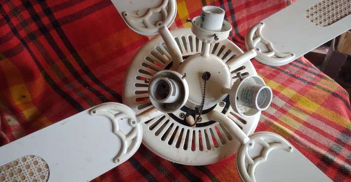 Ceiling fan - AltonMo.com